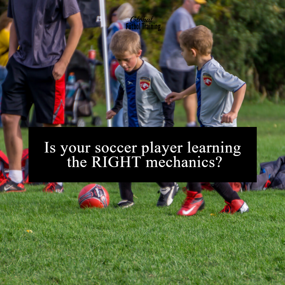 what makes training the 'right' training | North Texas Child - video